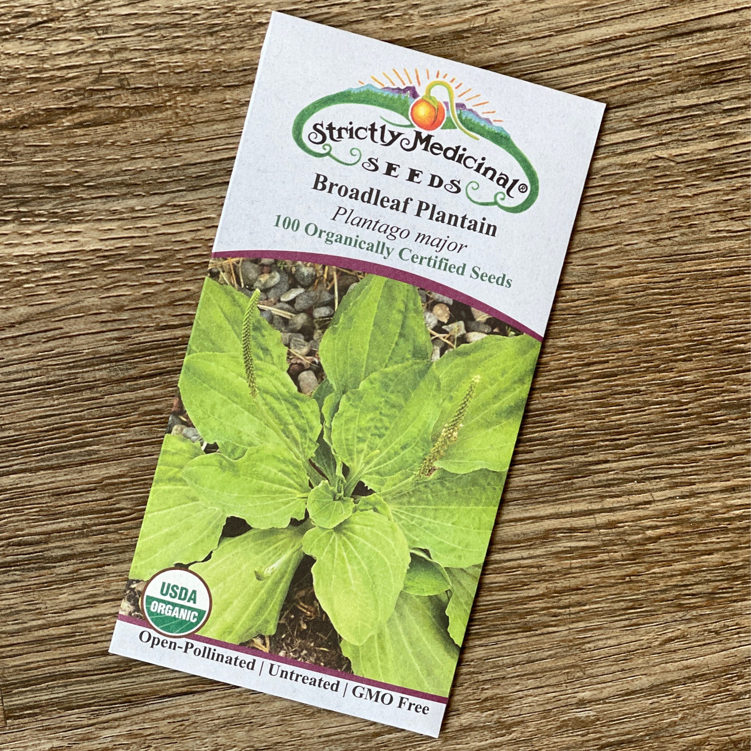 Broadleaf Plantain (Plantago Major) Seeds, Organic | The Herbal Oracle